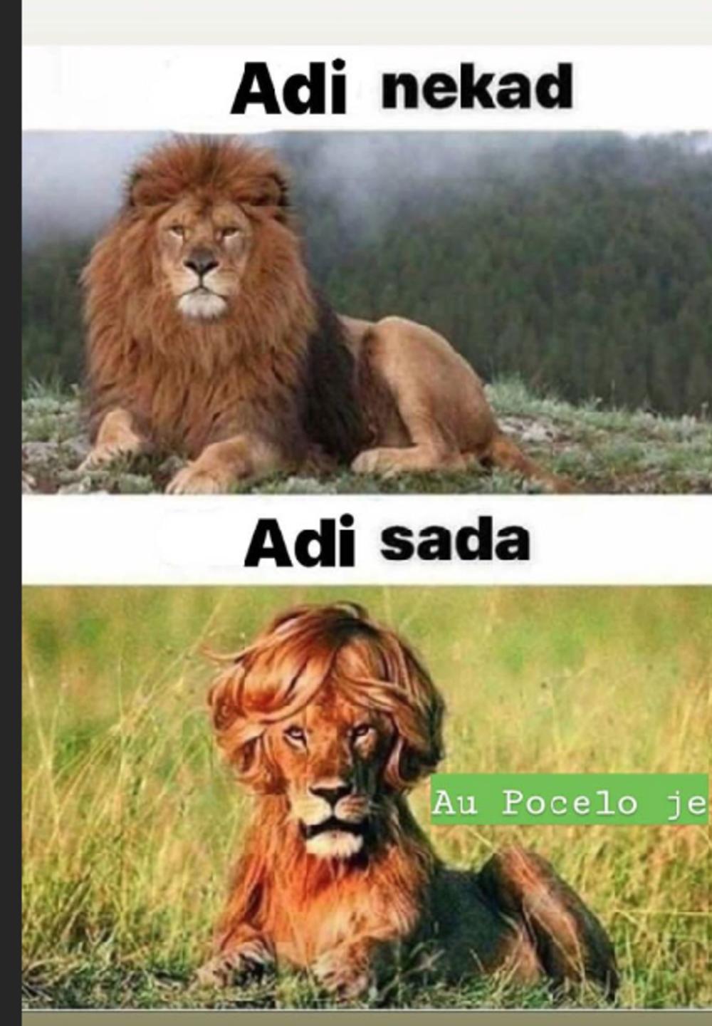 NEKAD I SAD: Adi Šoše ima novu frizuru i šali se na svoj račun