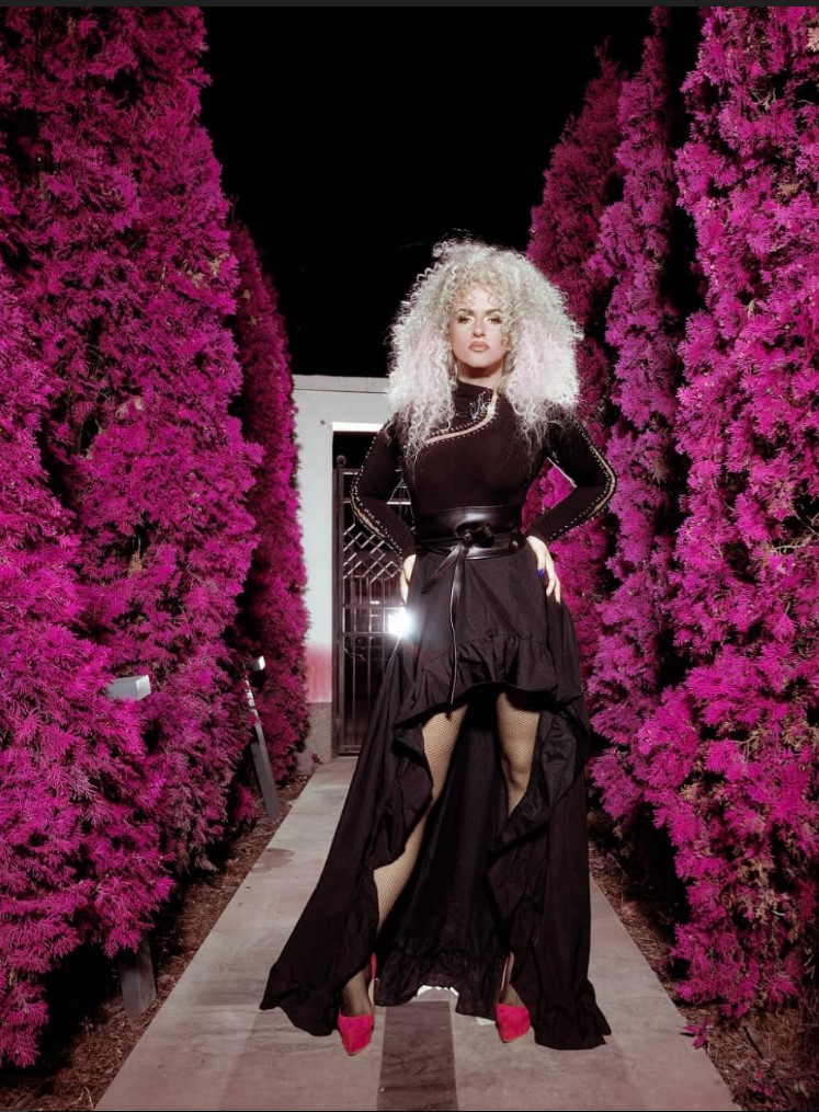 ERMINA PAŠOVIĆ O RIJALITIIJU I PJEVAČKOJ KARIJERI: "Zadruga" mi je ...